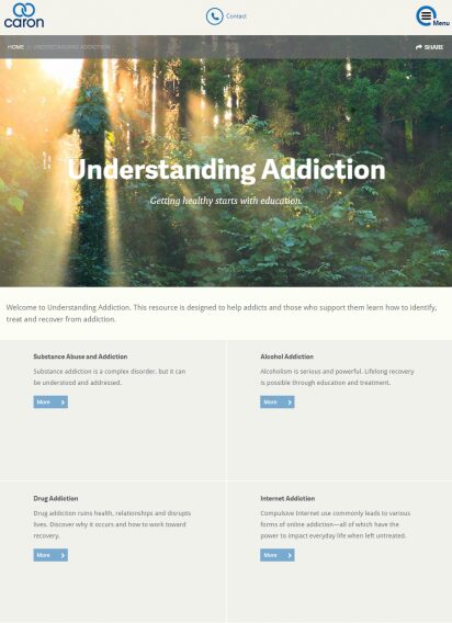 Understanding Addiction - The Caron Foundation - Eluna